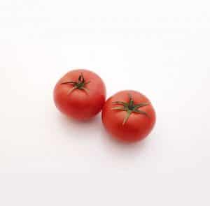 Tomate Daniela - Freskko -Compra Online